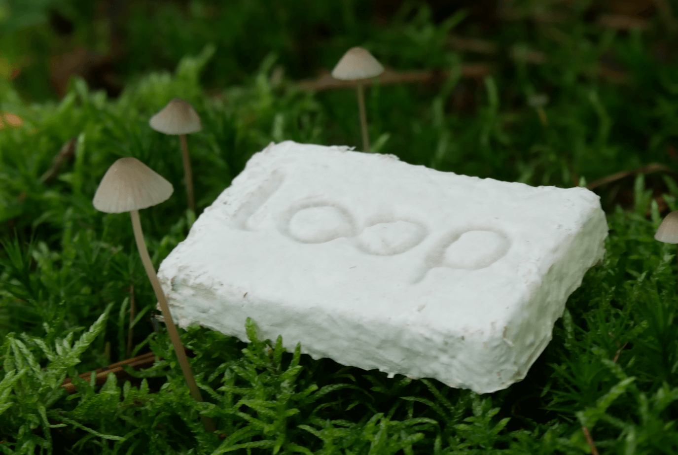 Partnership - Loop Biotech