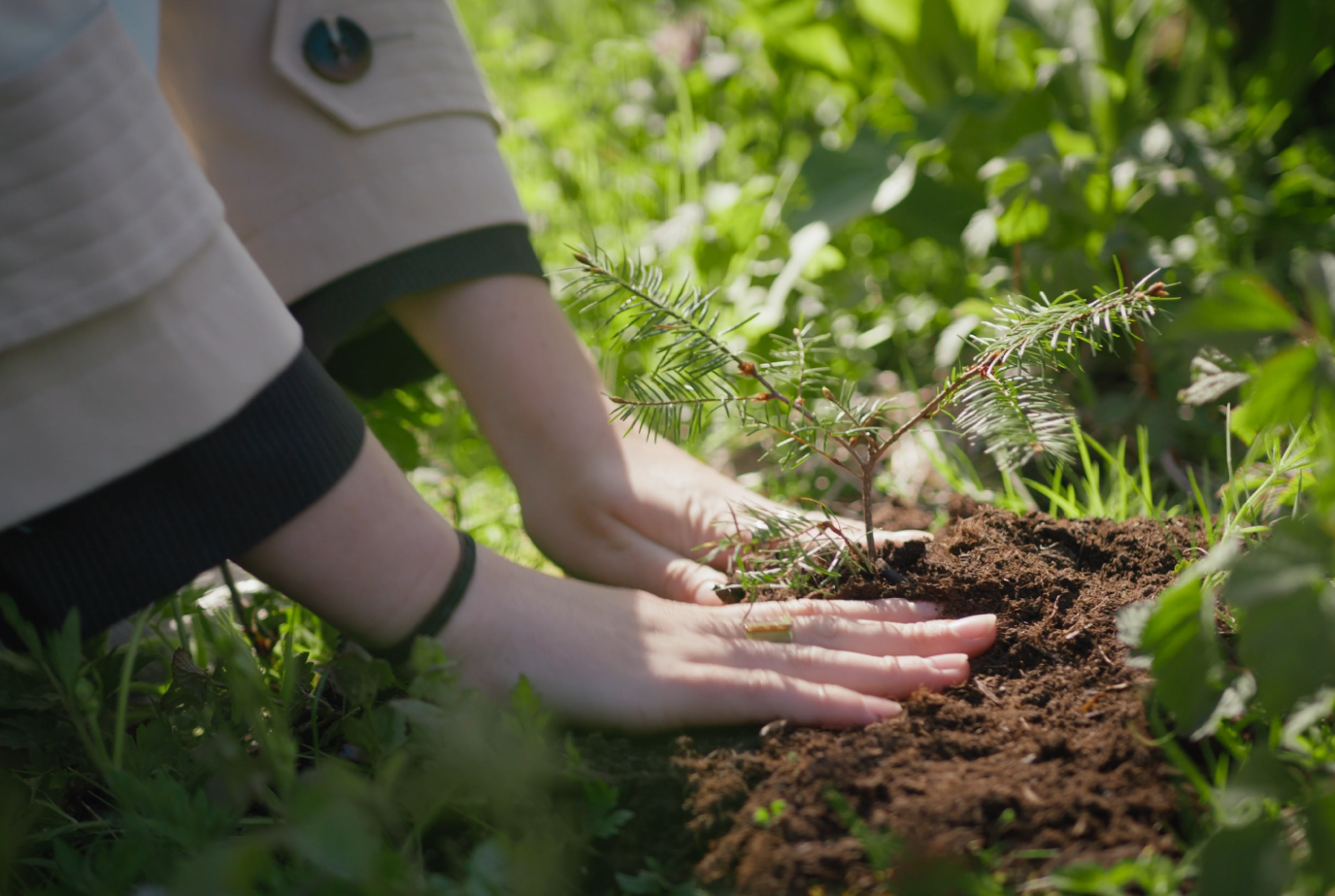 Back to Nature - Loop Biotech