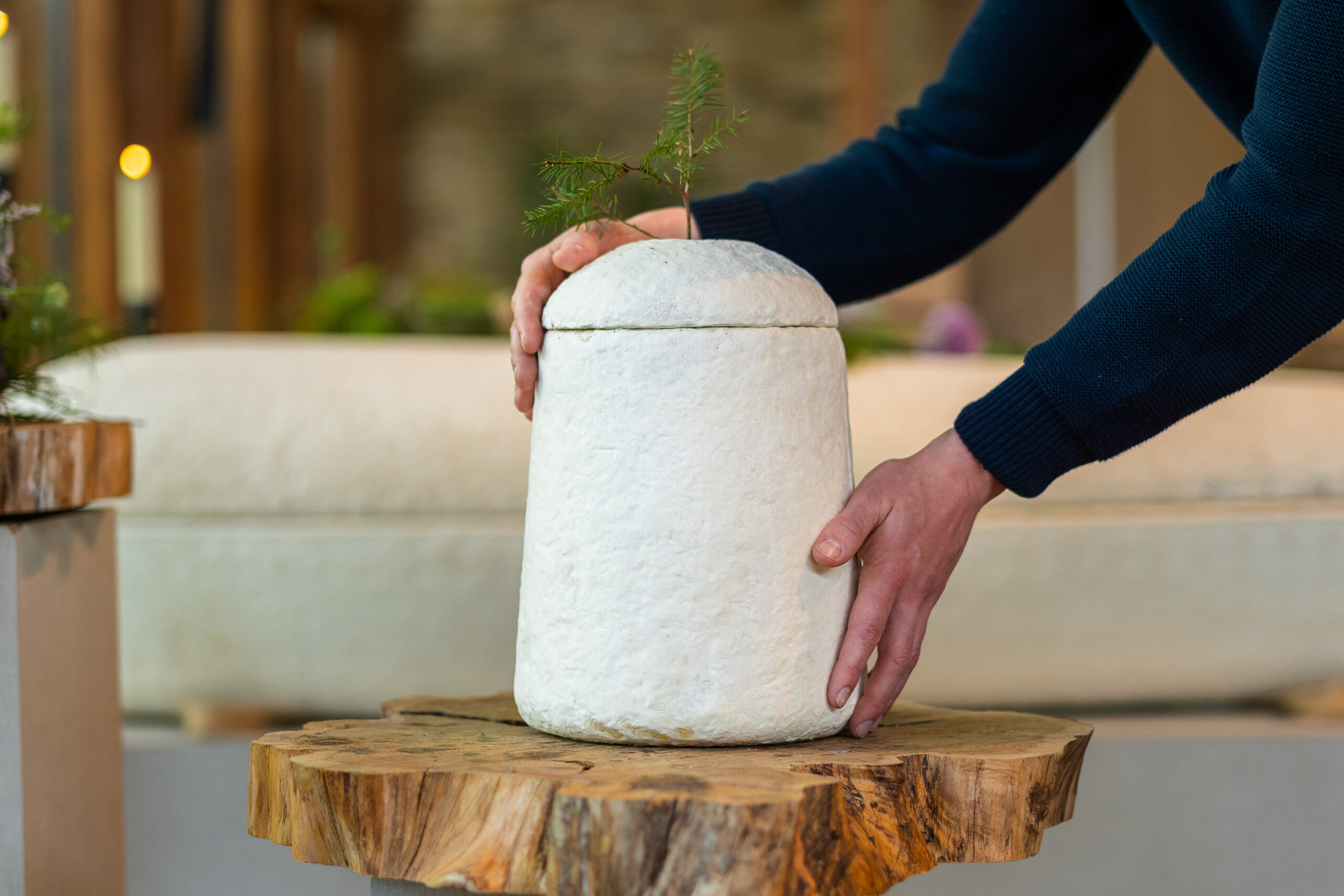 Sustainable approach to funeral costs - Loop Biotech
