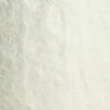 Loop Living Cocoon™ - Loop Biotech